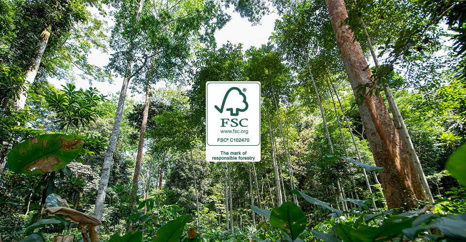 FSC and PEFC | What do these labels mean?